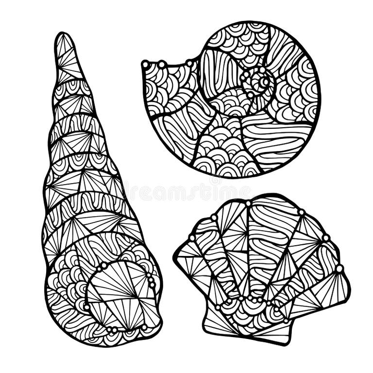 Zentangle Sea Shell Stock Illustrations – 870 Zentangle Sea Shell Stock ...