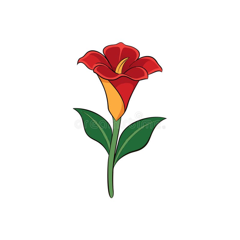 Stylized Red Calla Lily Illustration with Green Leaves Vector Stock ...