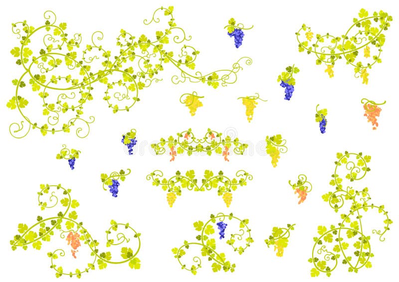 Stylized Vine Branch with Leaves Stock Vector - Illustration of ...