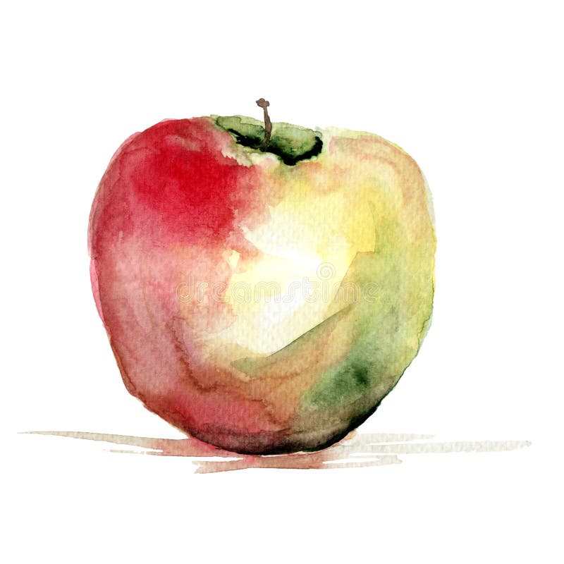 Stylized Watercolor Apple Illustration Stock Illustration ...