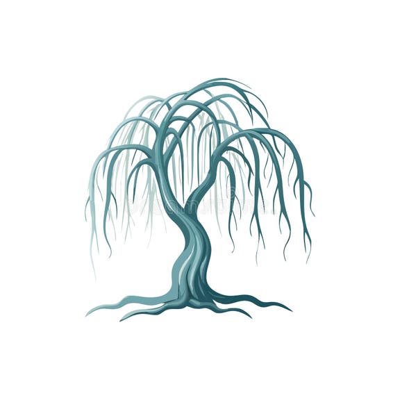 Stylized Weeping Willow Tree Illustration in Blue and White on White ...