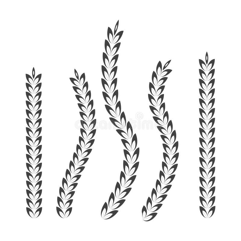 Stylized Wheat Designs Four Variations for Design Elements Stock Vector ...
