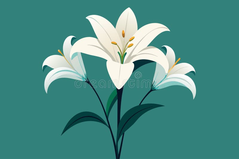 A Stylized White Lily with Prominent Stamens Against a Teal Background ...