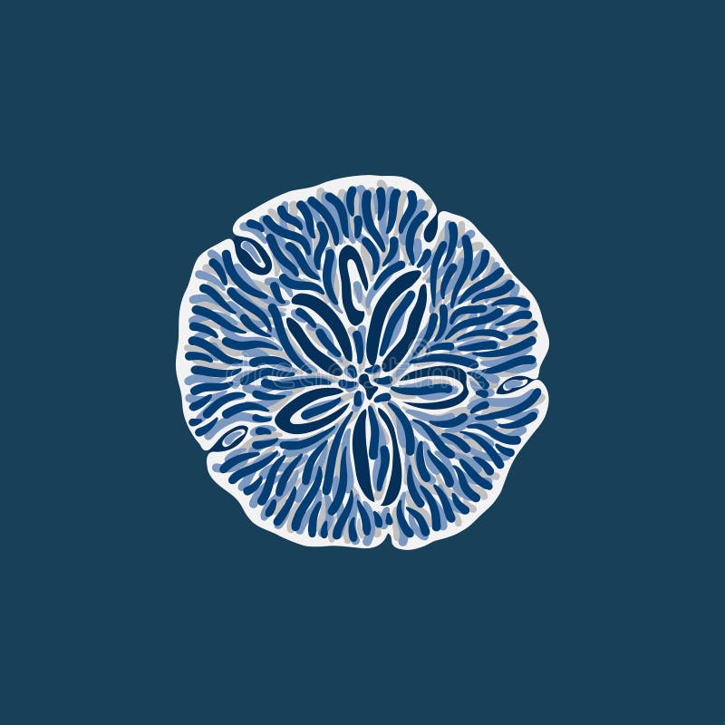 Stylized White Shell Illustration on Dark Blue Background, Marine ...
