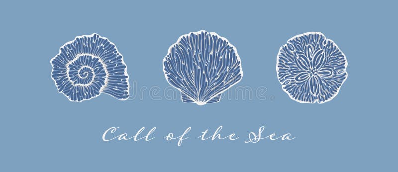 Stylized White Shell Illustrations on Blue Background with Call of the ...