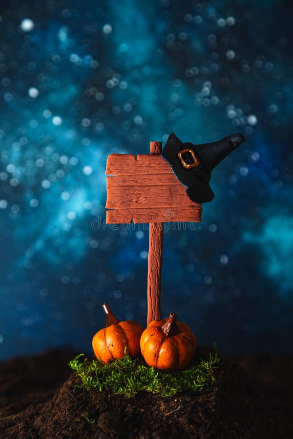 Stylized Wooden Pointer Witch Hat Pumpkins Background Starry Sky Stock ...