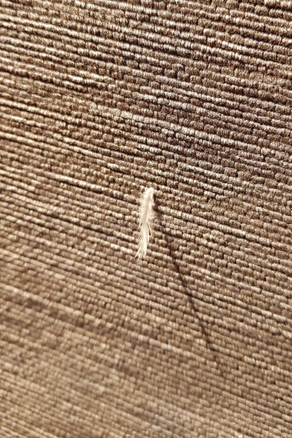 The stylus stock photo. Image of threads, stuck, chair - 122642536