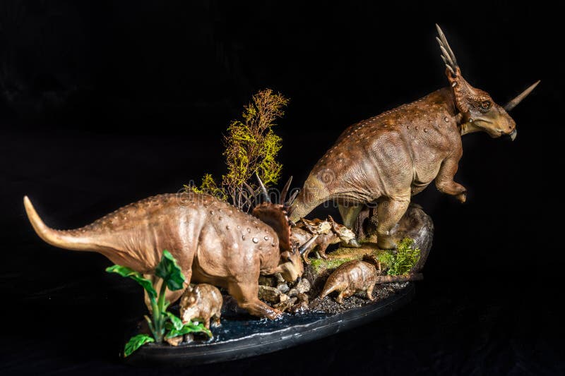 Styracosaurus Dinosaur in the Dark Stock Image - Image of extinct ...