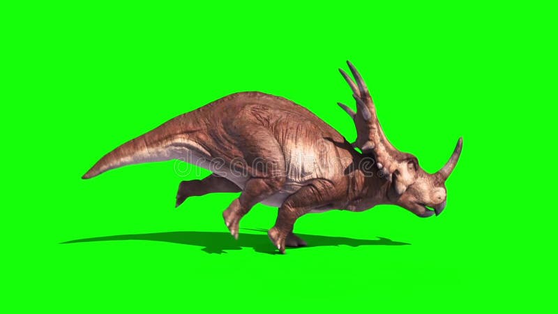Styracosaurus Triceratops Run Front Static Loop Dinosaurs Jurassic ...