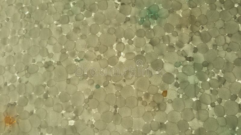 Styrofoam stock photo. Image of texture, closeup, pattern - 96430564