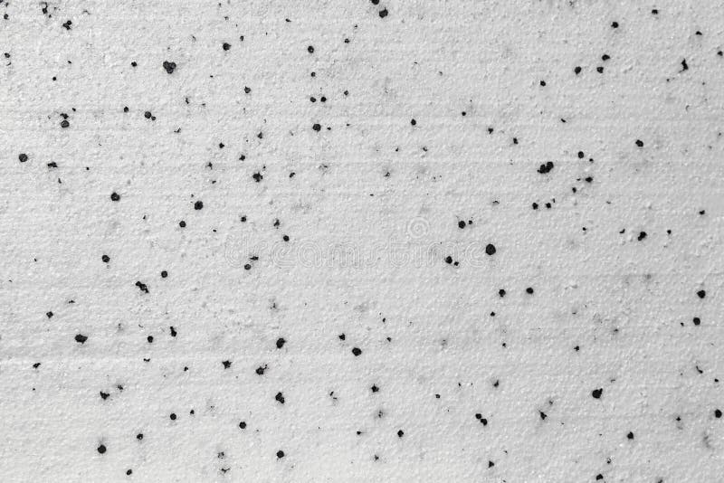 Styrofoam texture stock photo. Image of container, background - 26807872