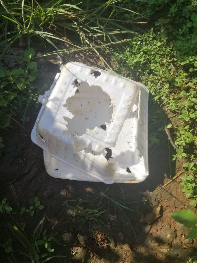 Styrofoam Trash in the Yard Stock Photo - Image of forest, styrofoam ...