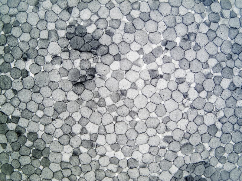 Styropoor stock photo. Image of foam, material, building - 93817588