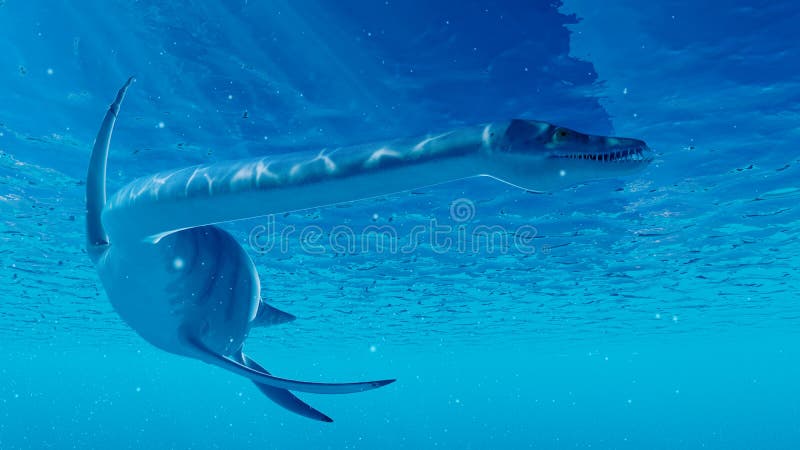 Styxosaurus Stock Illustrations – 31 Styxosaurus Stock Illustrations ...