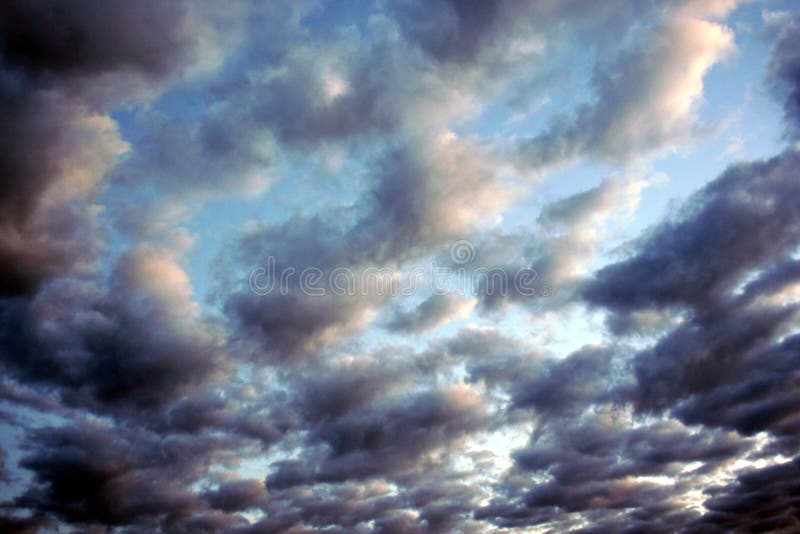 Sub Tropical Sky Back Ground Stock Photo - Image of dark, beauty: 193163674