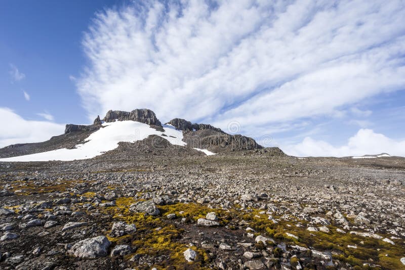 Subantarctic landscape stock photo. Image of chill, george - 66372258