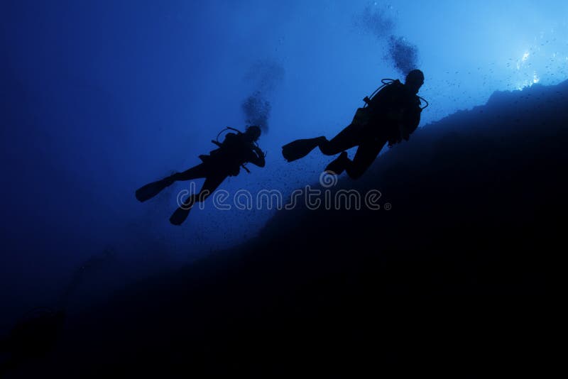 Subaqueo Silhoutte Alla Scogliera Di Elphinstone Immagine Stock ...