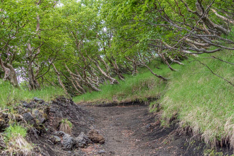 Subashiri Trail To Make the Top of Mount Fuji Stock Image - Image of ...