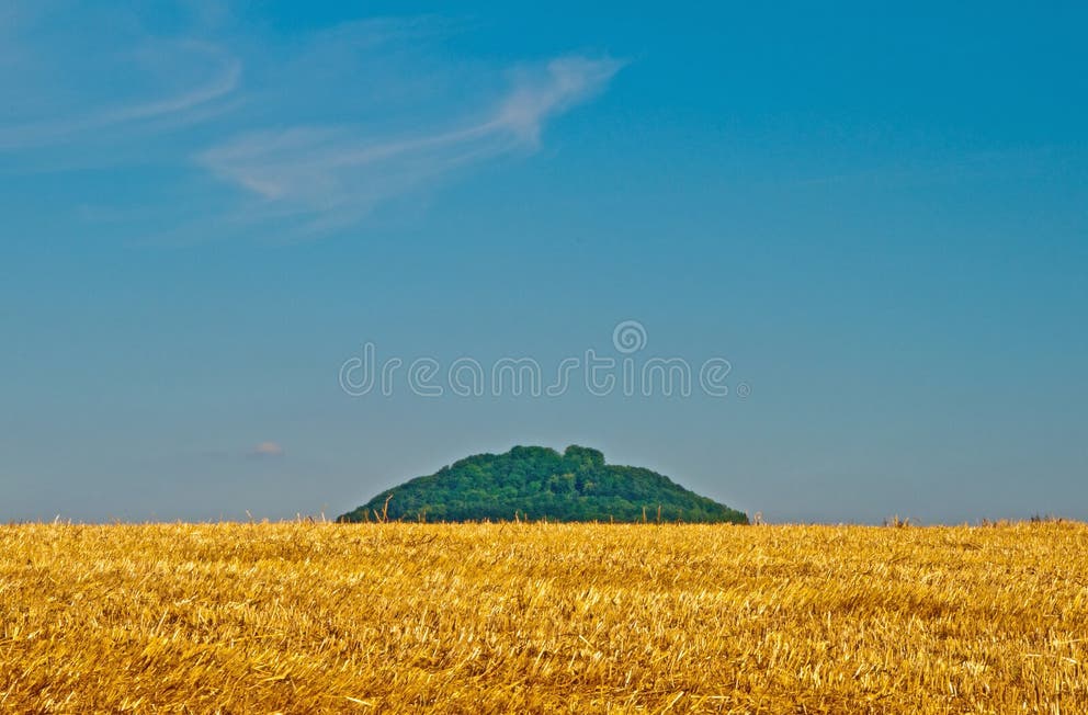 Subble field stock image. Image of design, stubble, agriculture - 15235077