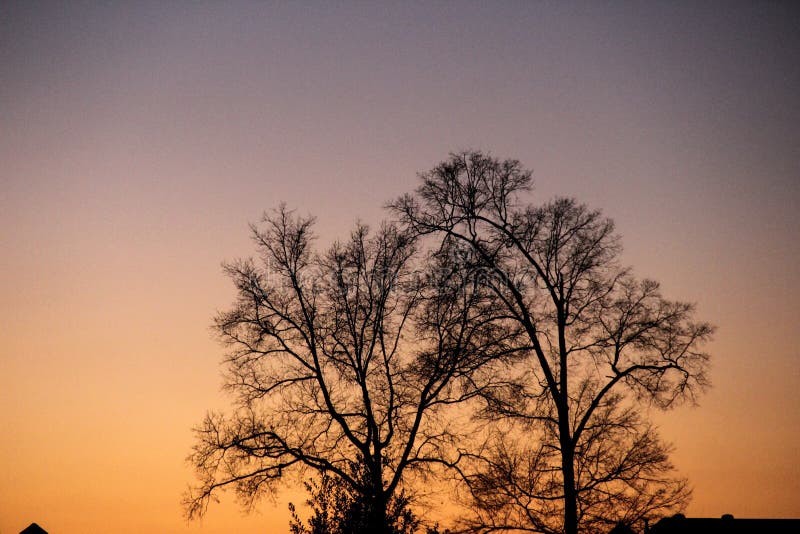 Subdued sunset stock photo. Image of dark, tree, mellow - 106843212