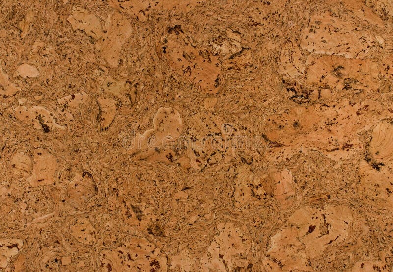 Suber stock image. Image of decoration, corkboard, wallpaper - 11859851