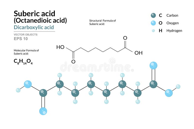 Suberic Acid. Structural Chemical Formula and 3d Model of Molecule ...