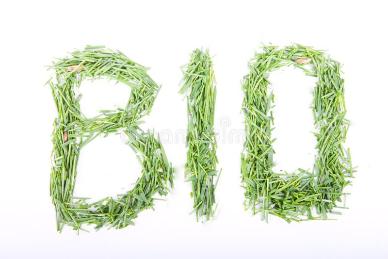 Subjects of Bio Ingredients Stock Image - Image of farm, maintenance ...
