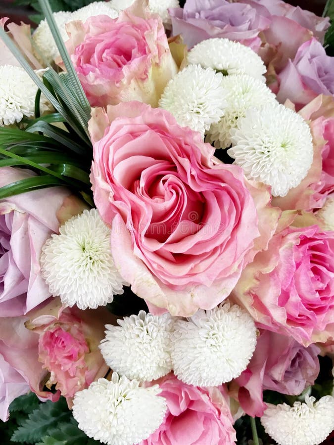 Sublime bouquet stock image. Image of fleurs, sublime - 95794285