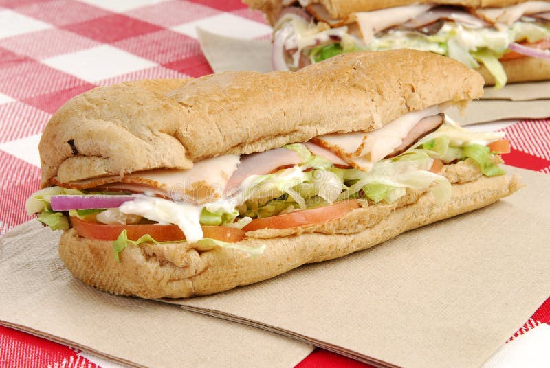 Submarine Sandwich stock photo. Image of napkins, meal - 17463024