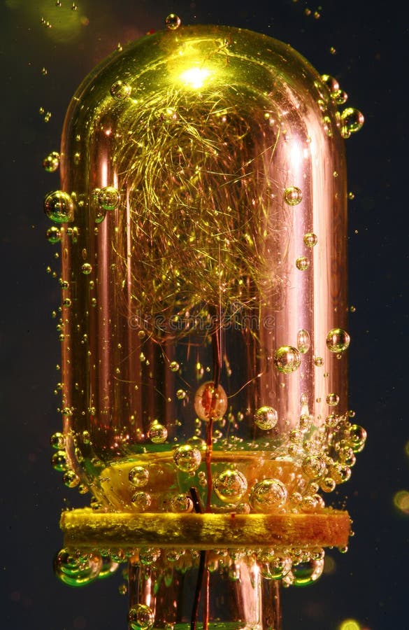 613 Flashbulb Stock Photos - Free & Royalty-Free Stock Photos from ...