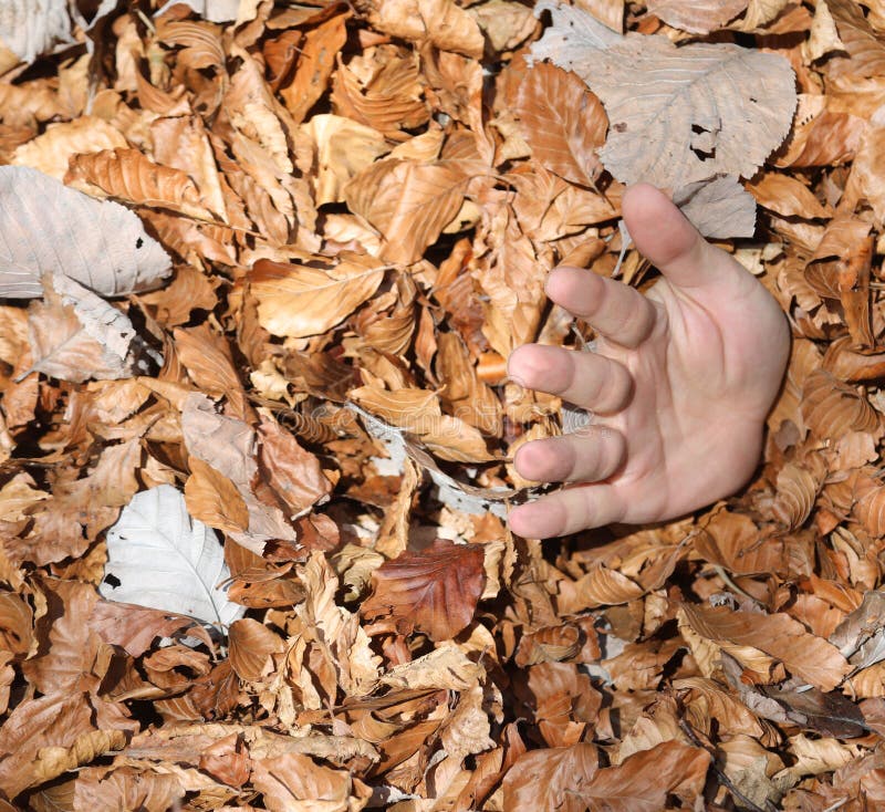 Submerged Hand of Young Man and Many Leaves Stock Image - Image of ...