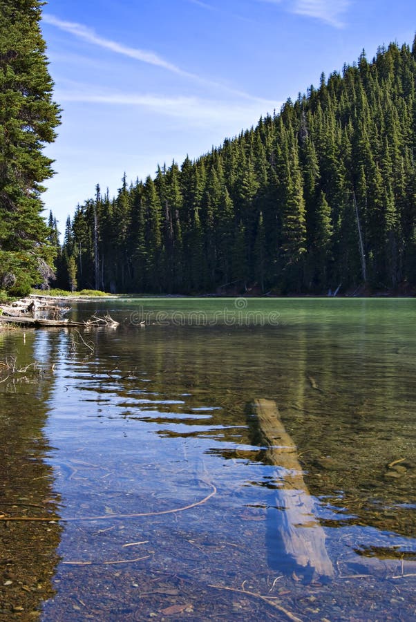 Submerged Log at Devil S Lake Stock Image - Image of reflection, pond ...
