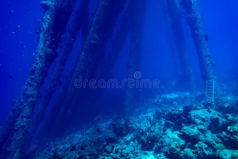 Submerged Structures stock photo. Image of life, coral - 69253450