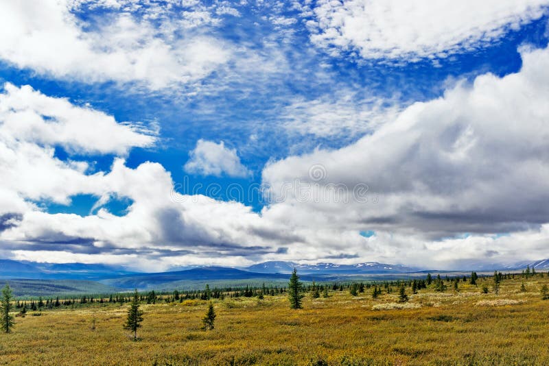 Subpolar Tundra Forest and Mountains in the Urals Stock Photo - Image ...