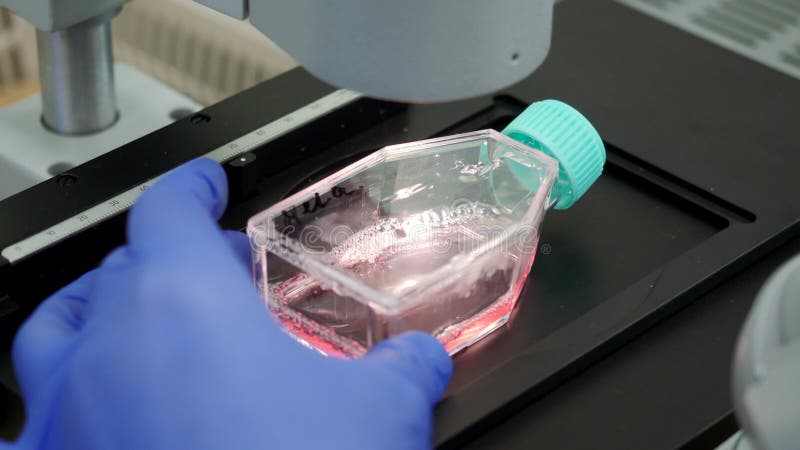 Substance in Container Under Microscope. Stock Footage. Jar with ...