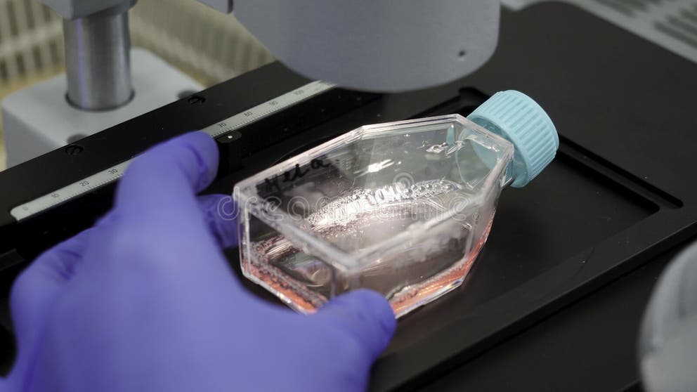 Substance in Container Under Microscope. Stock Footage. Jar with ...