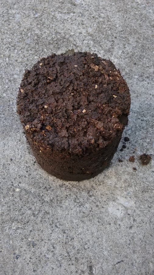 Substrate on cement floor stock photo. Image of floor - 95321468