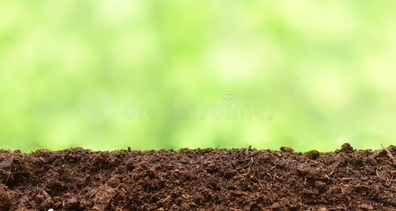Substrate Soil As Border on Green Background Stock Photo - Image of ...