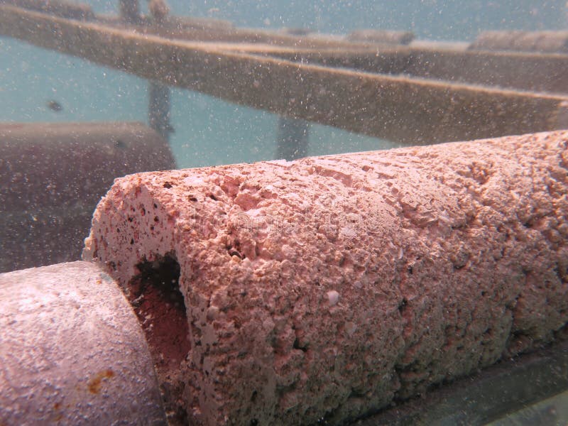 Substrate Used As Artificial Reef in Malaysia Stock Photo - Image of ...