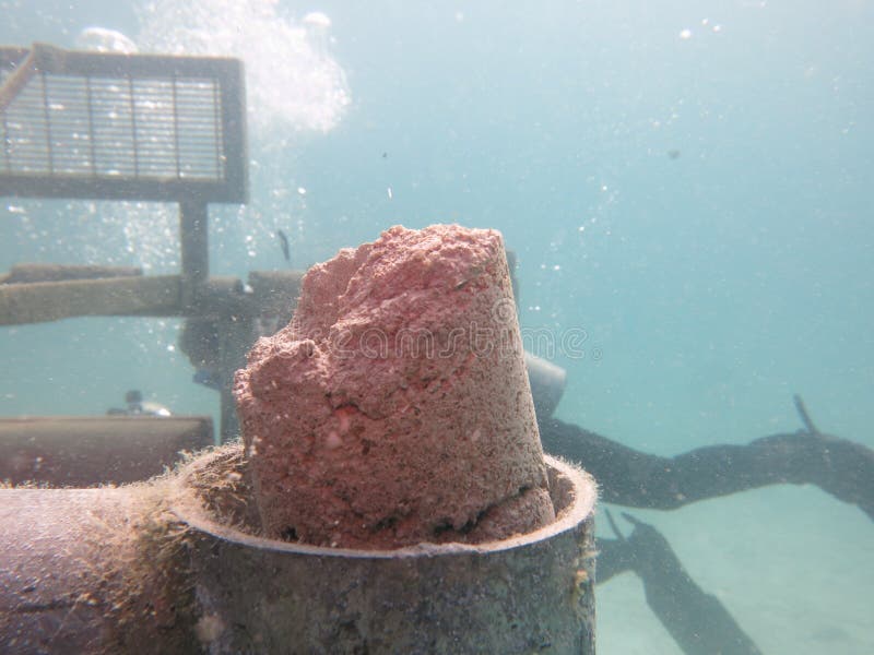Substrate Used As Artificial Reef in Malaysia Stock Photo - Image of ...