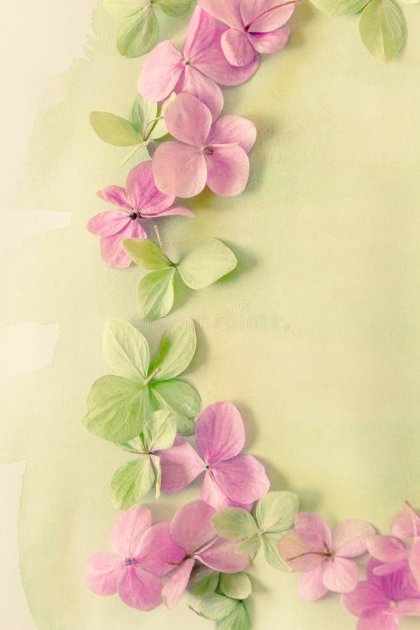 Subtle Artistic Floral Backgrodund with Hortensia Flowers Stock Photo ...