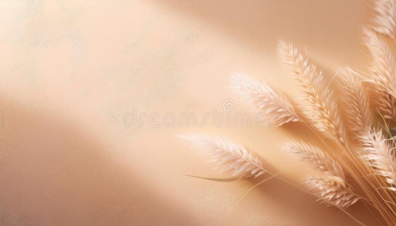 Subtle Beige Summer Background with Soft Texture and Warm Tones Stock ...