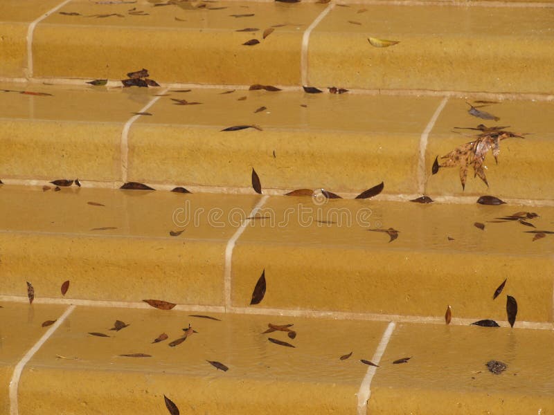 396 Subtle Fall Background Stock Photos - Free & Royalty-Free Stock ...