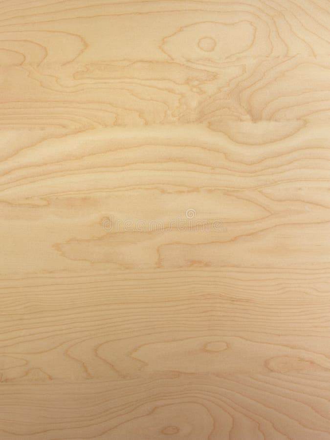 Smooth Light Brown Birch Wood Background Surface Stock Image - Image of ...