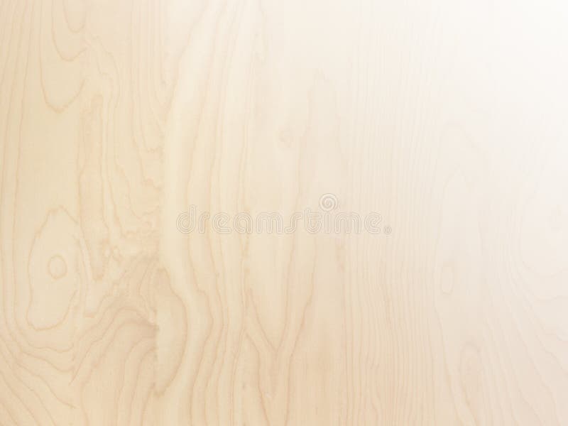 Smooth Pale White Birch Wood Background Surface Stock Image - Image of ...