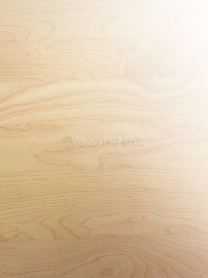 Soft Tan Natural Birch Wood Grain Abstract Background Surface Stock ...