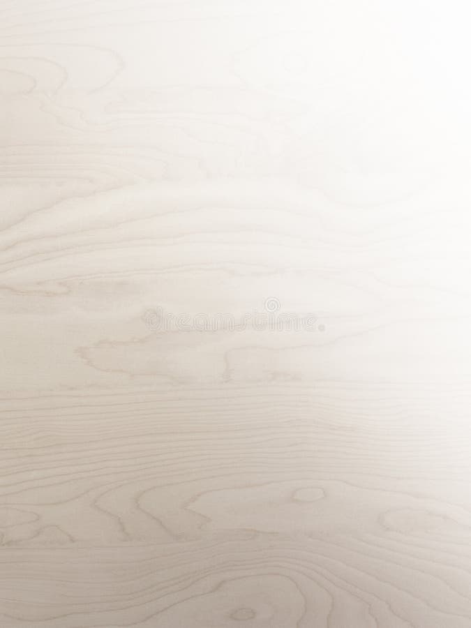 Subtle Nearly White Birch Wood Grain Abstract Background Surface Stock ...