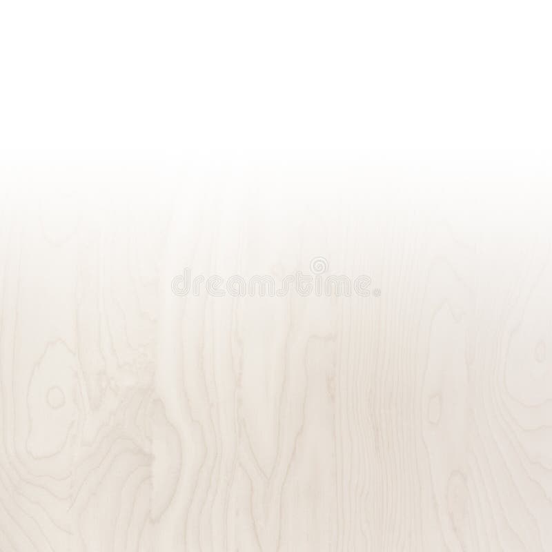 Light Tan Smooth Natural Birch Wood Grain Abstract Background Surface ...