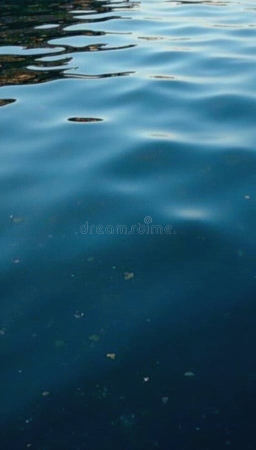 Subtle Ripples Disturb the Still, Dark Water S Surface , Shadow, Image ...