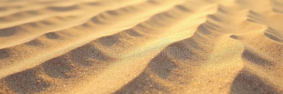 Subtle, Undulating Sand Patterns, Showing Sunlit Beach Texture , Warm ...